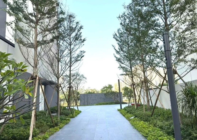 即将分房！坦尾村旧改项目首批回迁房已竣工验收