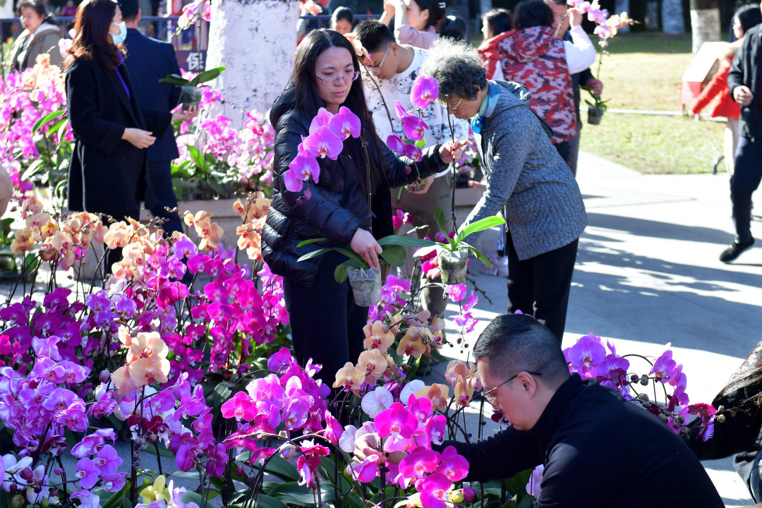 Over 2,000 festive events to light up Spring Festival in Guangzhou